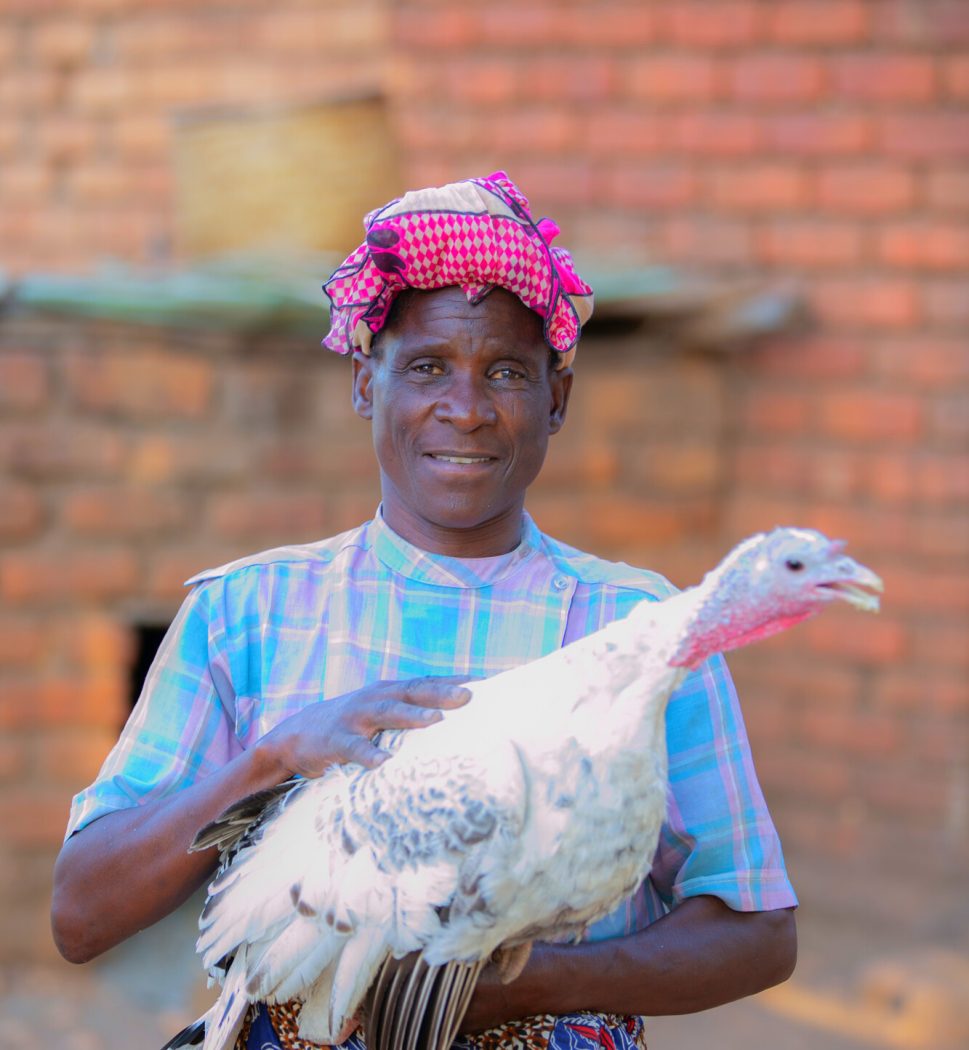 Brand - HelpAge International