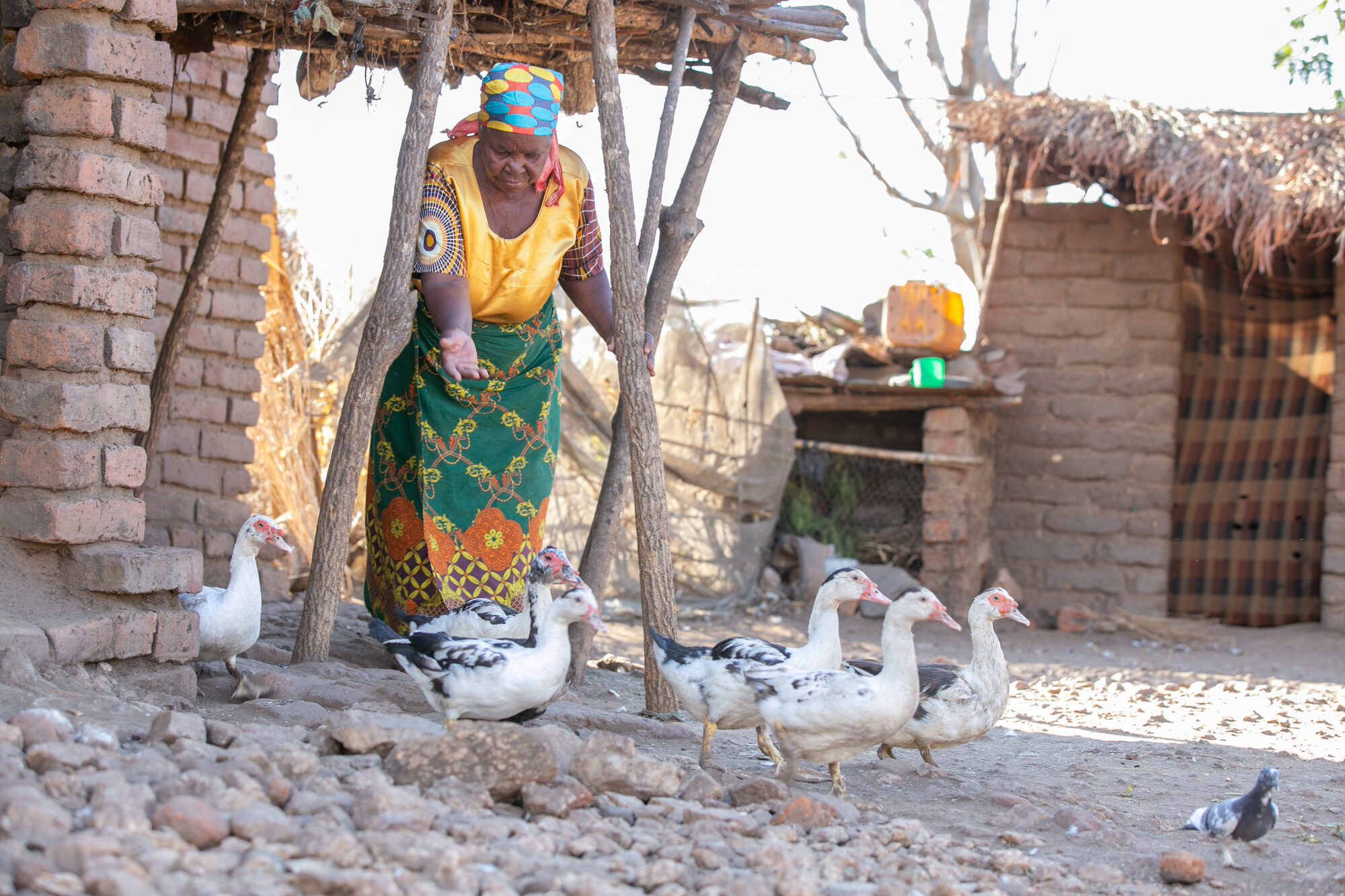 Older Persons’ Bill: Malawi’s Landmark Legislation for Older People ...