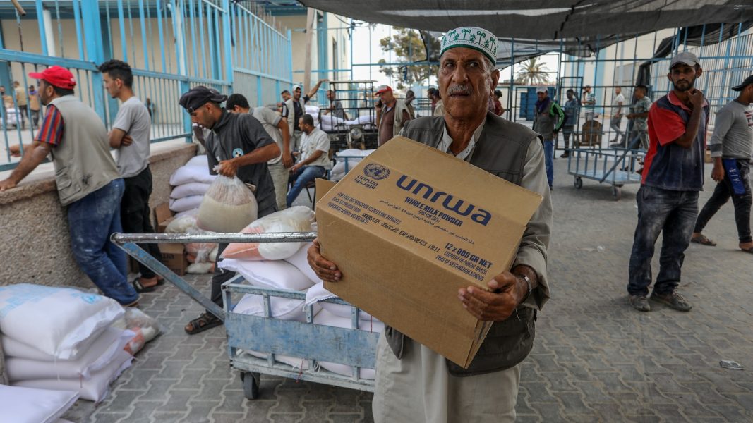 World Humanitarian Day 2024: A Call to Protect Those Who Serve ...