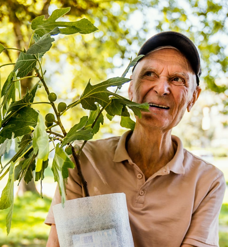 Promote healthy ageing - HelpAge International